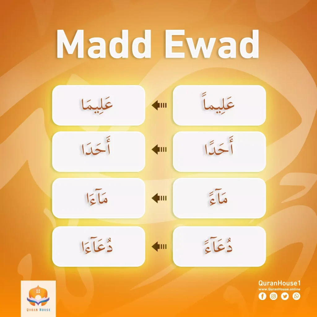 Tajweed | Quran House