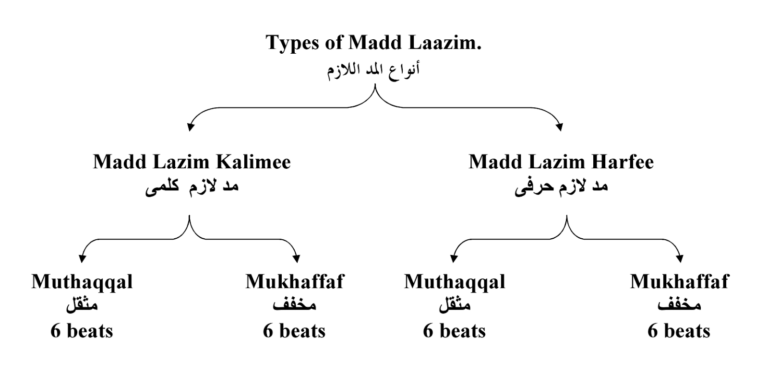 Madd Rules In Tajweed: Madd Letters, Charts, And Types | Quran House