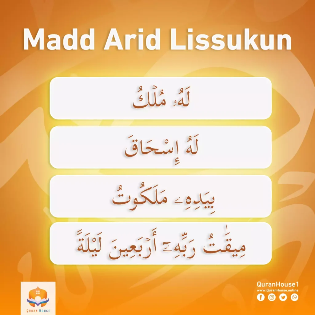 Blog - Best Learning Hub - Quran House